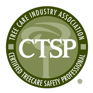 About Tree King Tree Services, Inc. | Pataskala and Central Ohio